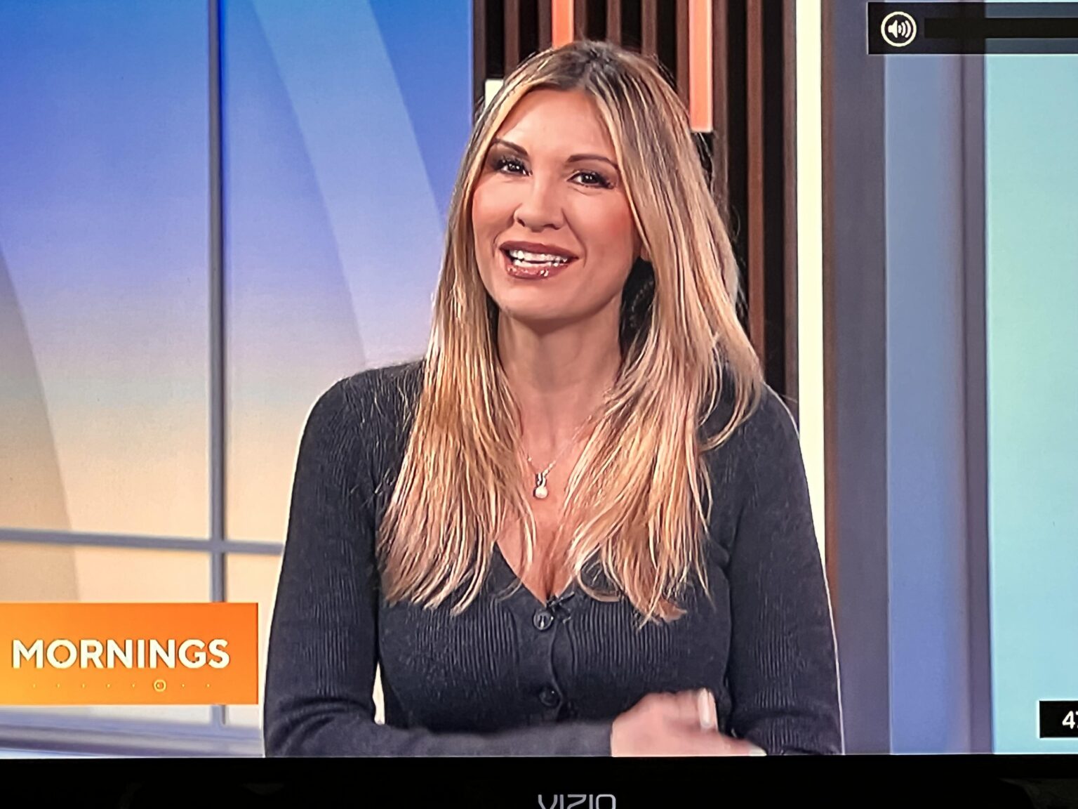 Olga Ospina Meteorologist, Bio, Age, CBS, Husband, Hand, Kids, KCAL 9 ...